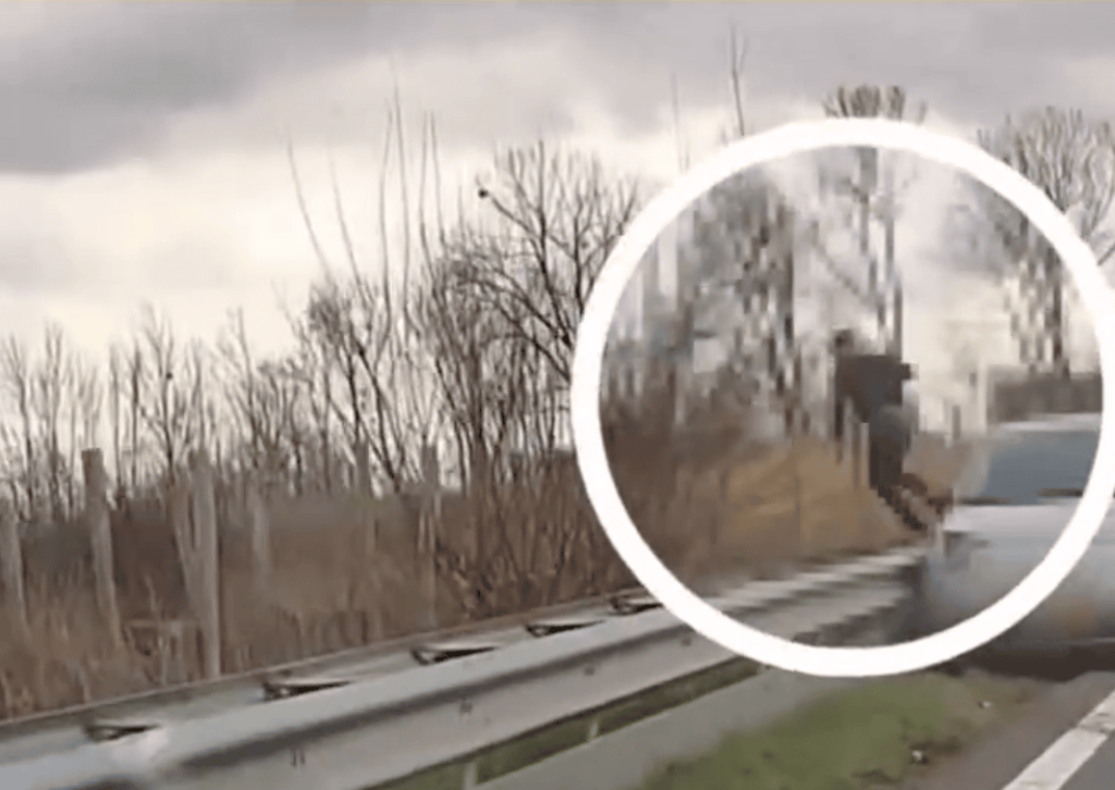 Bizarre achtervolging in Limburg: Bestuurder van gestolen auto gaat los ...